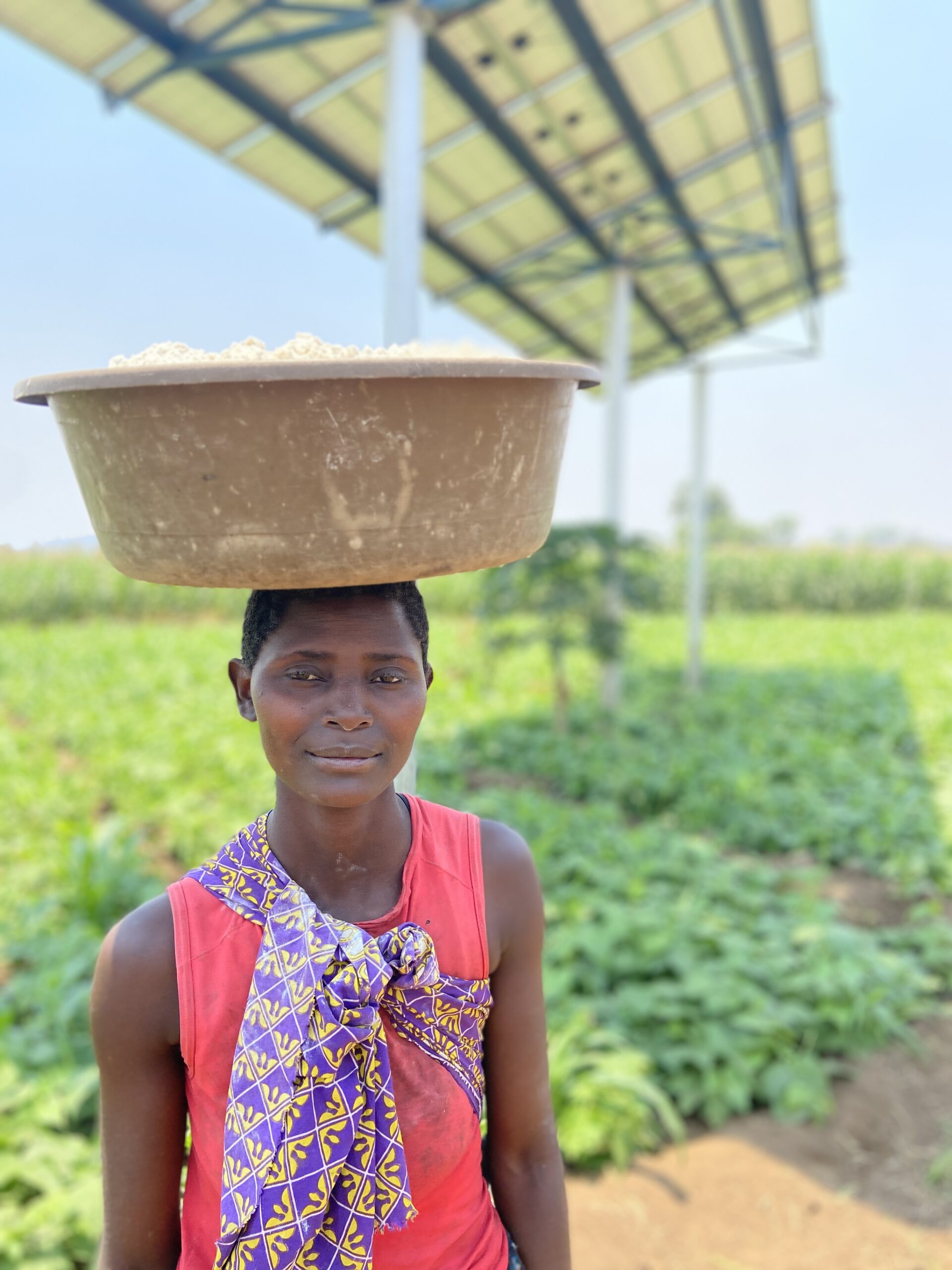 Gallery – Solar Milling